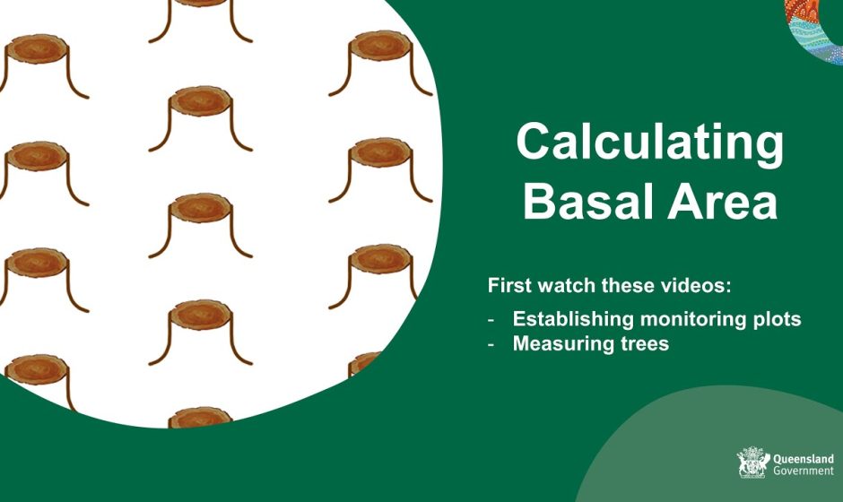 Calculating Basal Area Australian Country Life